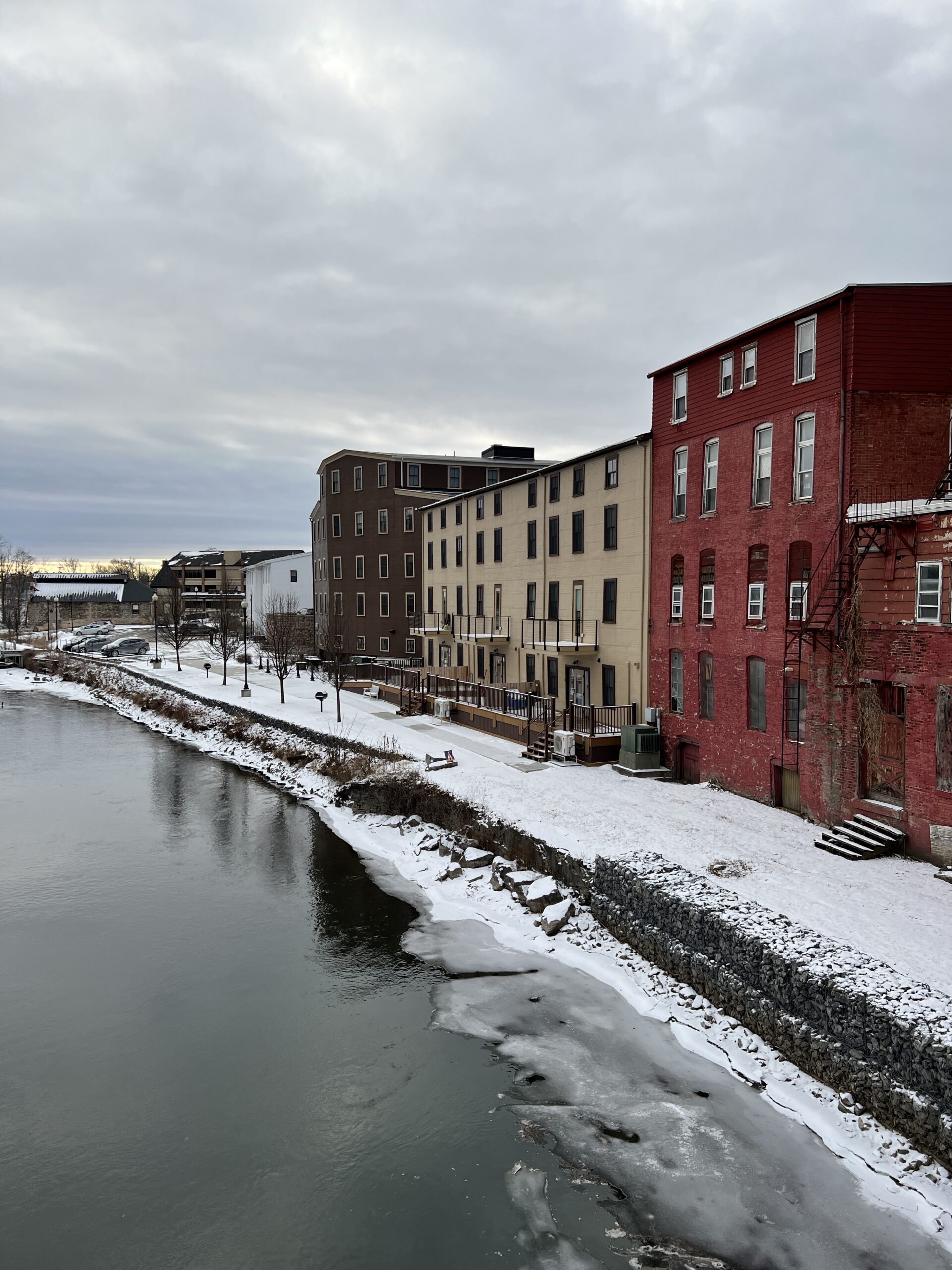 What I’m Enjoying: 14 Jan. 2024 - The Quaker Oracle